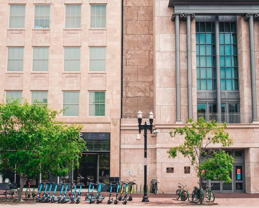 Jacksonville Public Library Tails and Tales Summer Reading Program 2021 ...